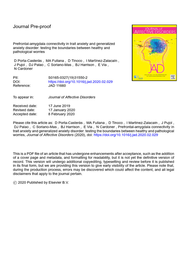 GAD Boundaries Between Healthy and | PDF | Generalized Anxiety Disorder ...
