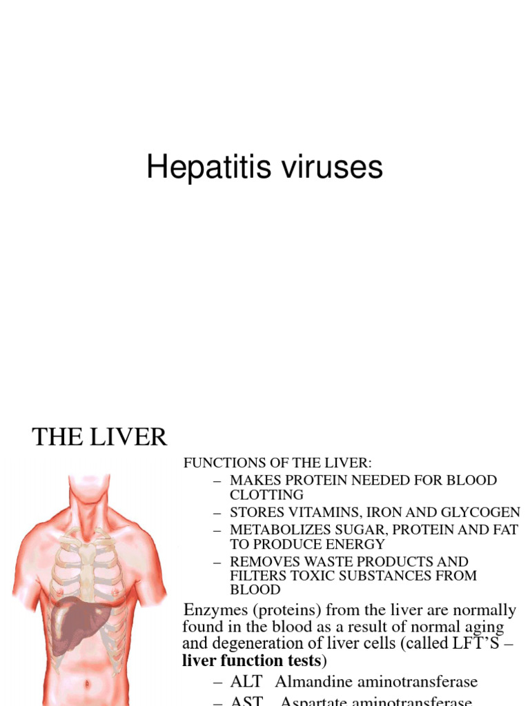 Class Notes 1 | PDF | Hepatitis B | Hepatitis