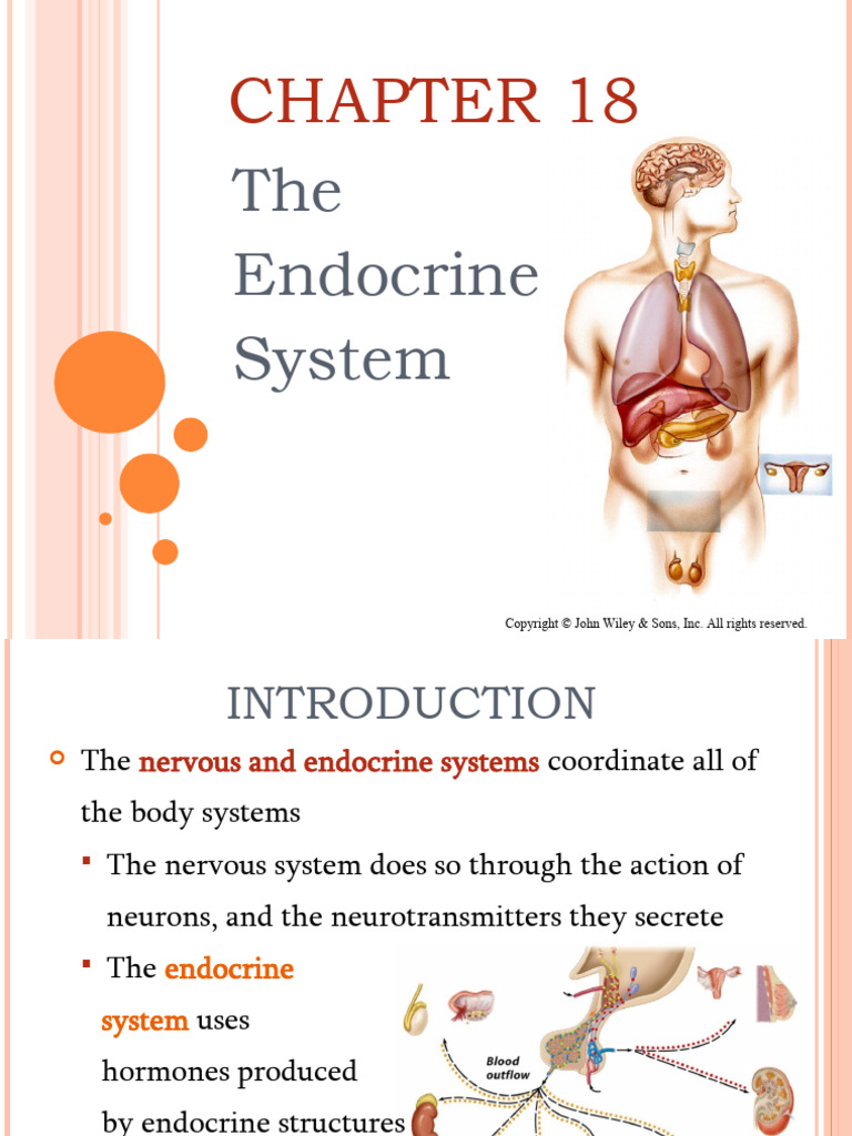 Chap. 18 Endocrine From Tortora | PDF | Adrenal Gland | Thyroid