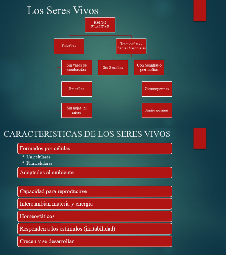 Presentación Cs Nat | PDF