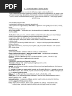 Gotika - Znaky | PDF