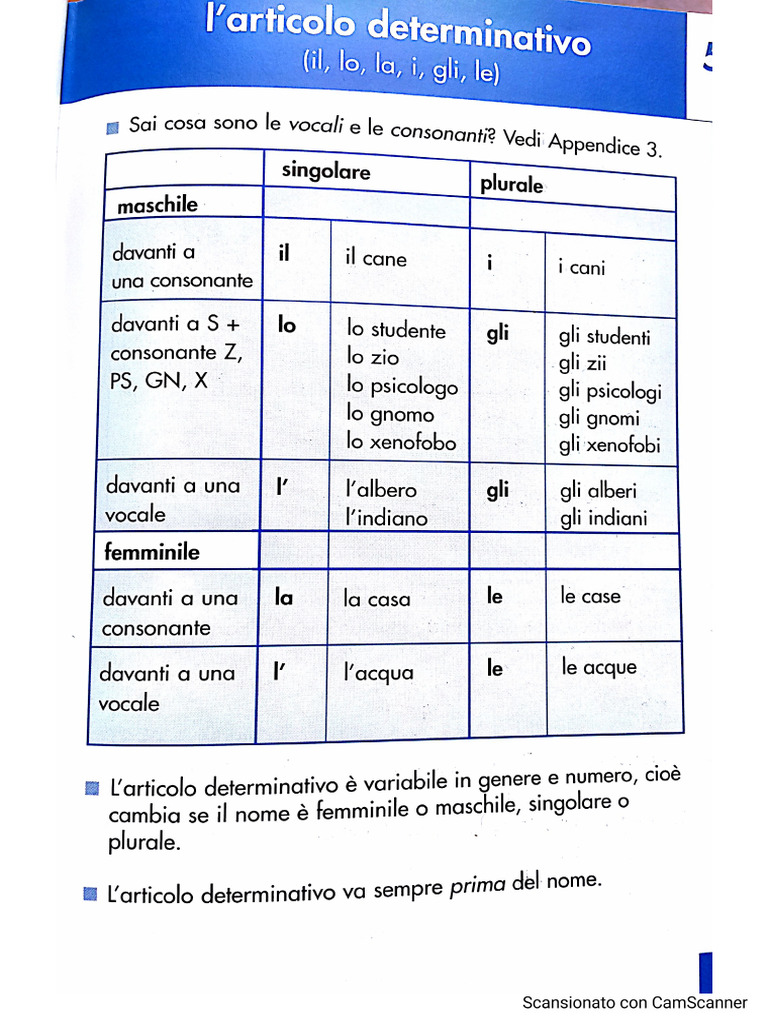 L'articolo Determinativo | PDF
