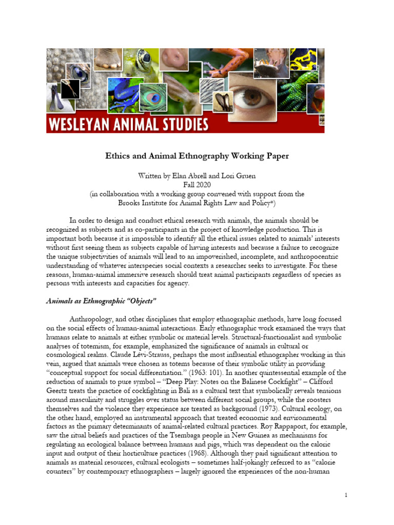Final Ethicsand Animal Ethnography Draft Pdf Ethnography Anthropology