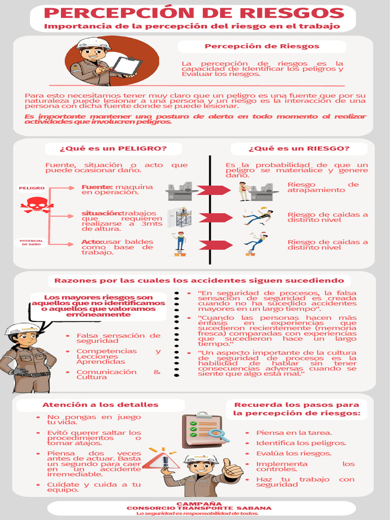 Infografia Percepcion de Riesgos | PDF | Percepción | Cognición