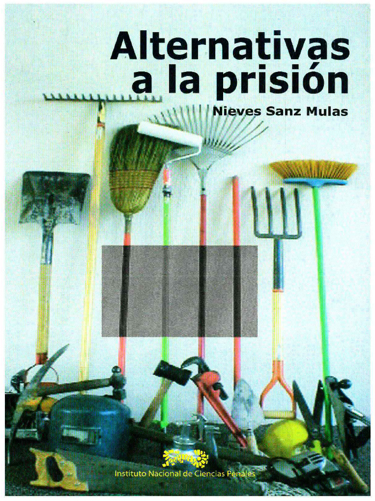 2004 Alternativas A La Prision | PDF