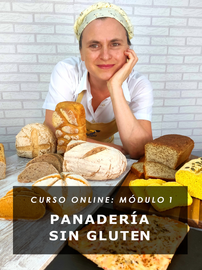 Panes Sin Gluten Y Masa Madre Pdf Panes Cereales
