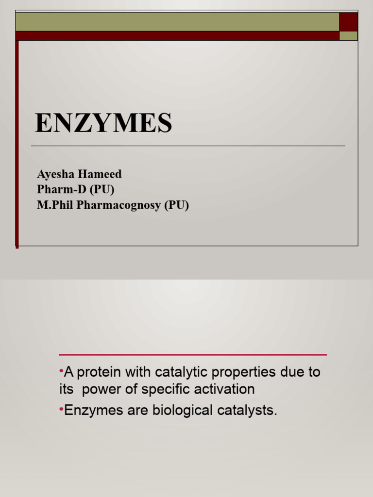 Enzymes | PDF | Digestion