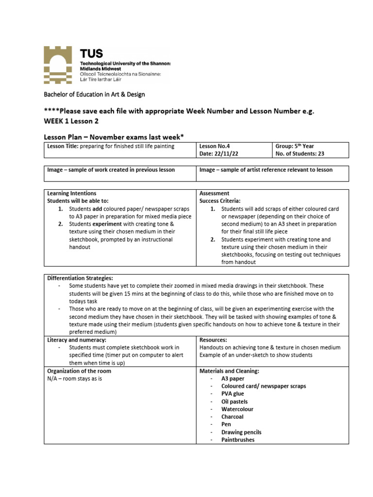5th Year Mixed Media Lesson Plan | PDF | Drawing | Lesson Plan