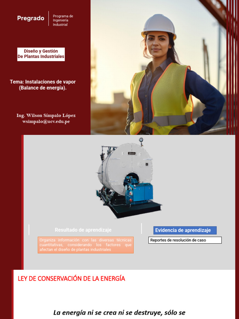 Balance de Energía en Calderas Industriales | PDF | Calor | Importar