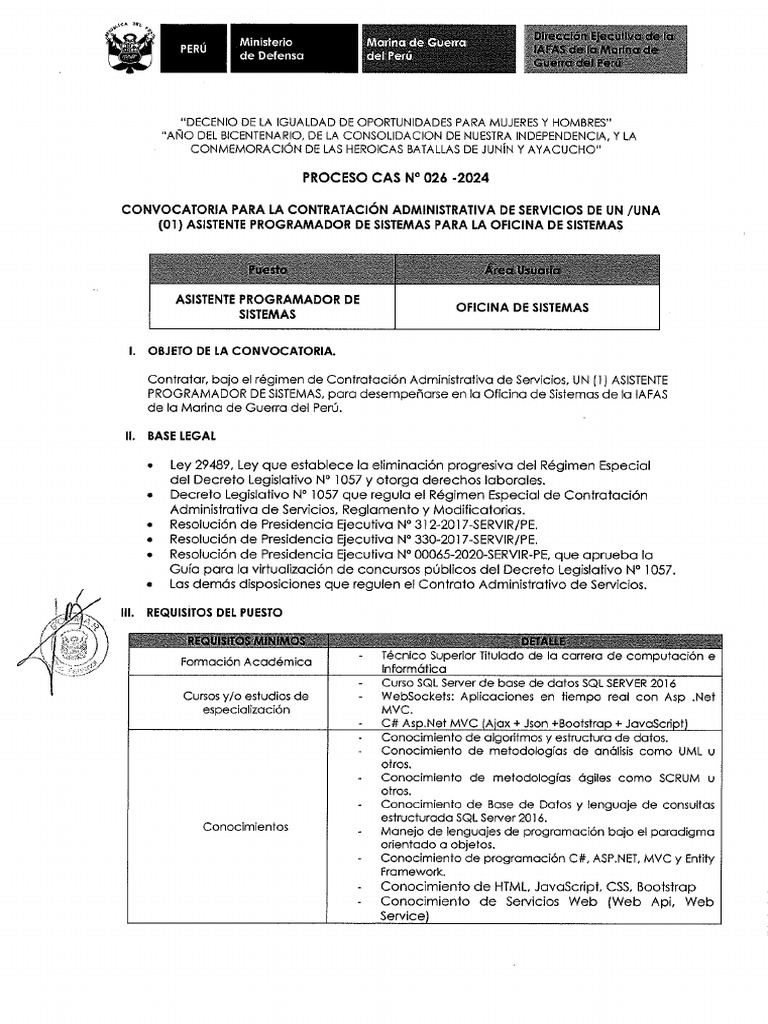 PROCESO-CAS-026-2024 | PDF