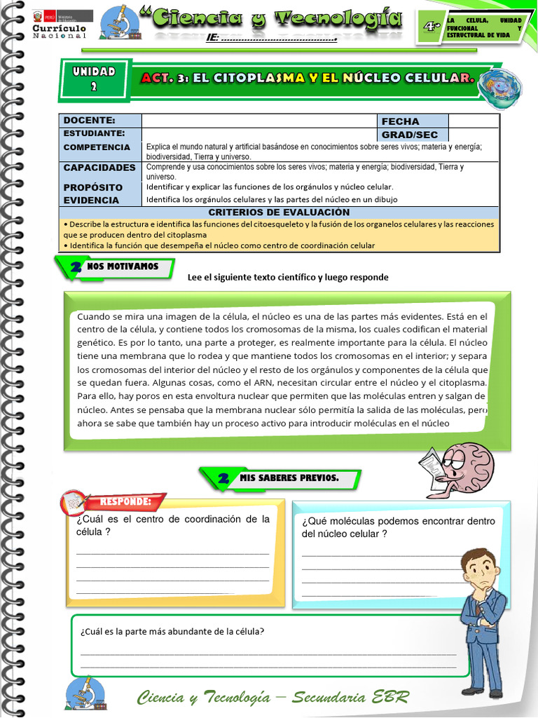 B-4º Act 3-Cyt-Und 2 - Sem 2 | PDF | Nucleo celular | Biología Celular)