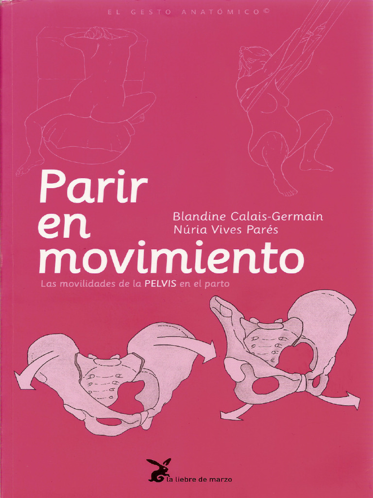 Parir en Movimiento 1 3 | Descargar gratis PDF | Pelvis | Anatomía
