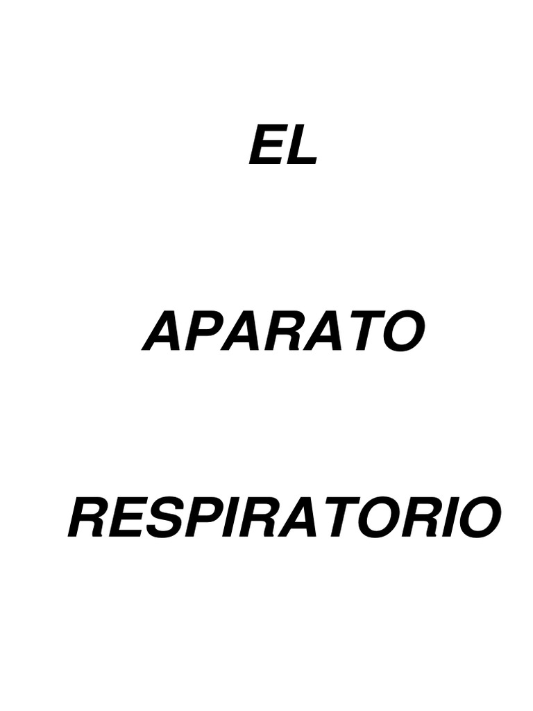 Tema 5. El Aparato Respiratorio | PDF | Pulmón | Sistema respiratorio