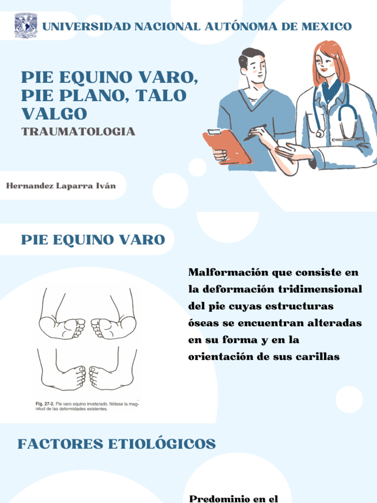 Pie Equino Varo, Pie Plano y Talo Valgo - 240224 - 075026 | PDF | Pie ...