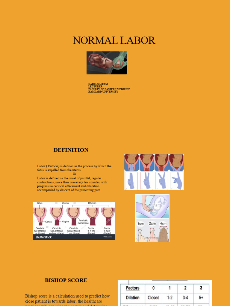 Normal Labor | PDF | Childbirth | Placenta