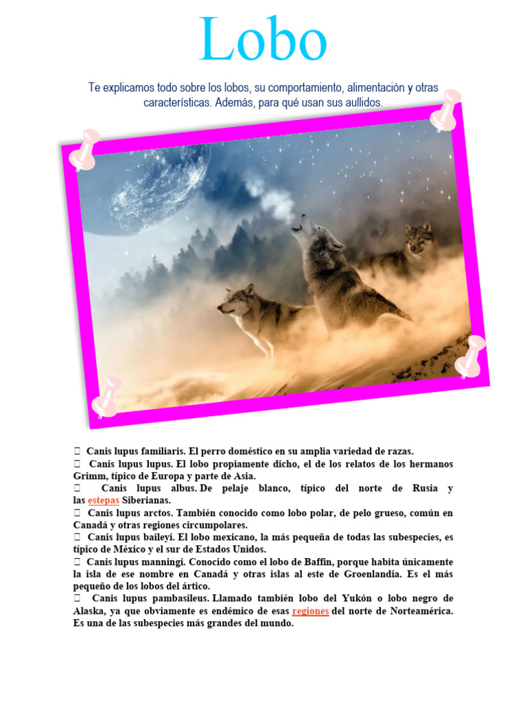 Características y subespecies de lobos | PDF | del perro | Canis lupus