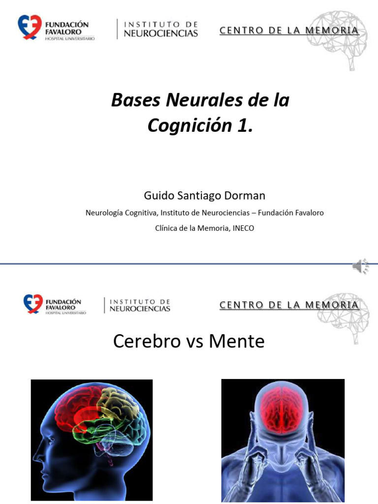 Bases Neurales de La Cognición | PDF