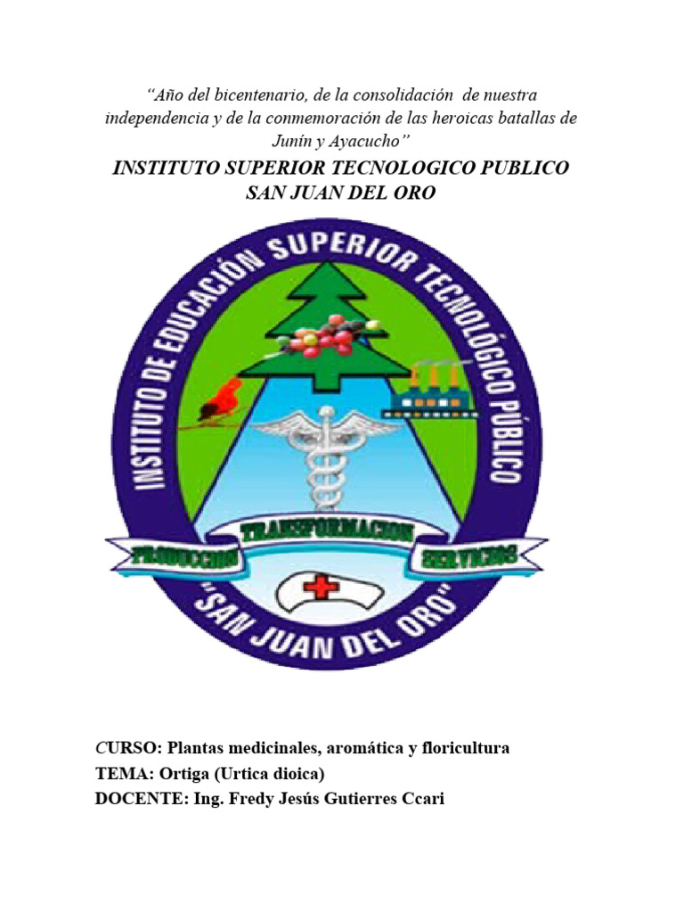 Ortiga Mau | PDF | Hoja