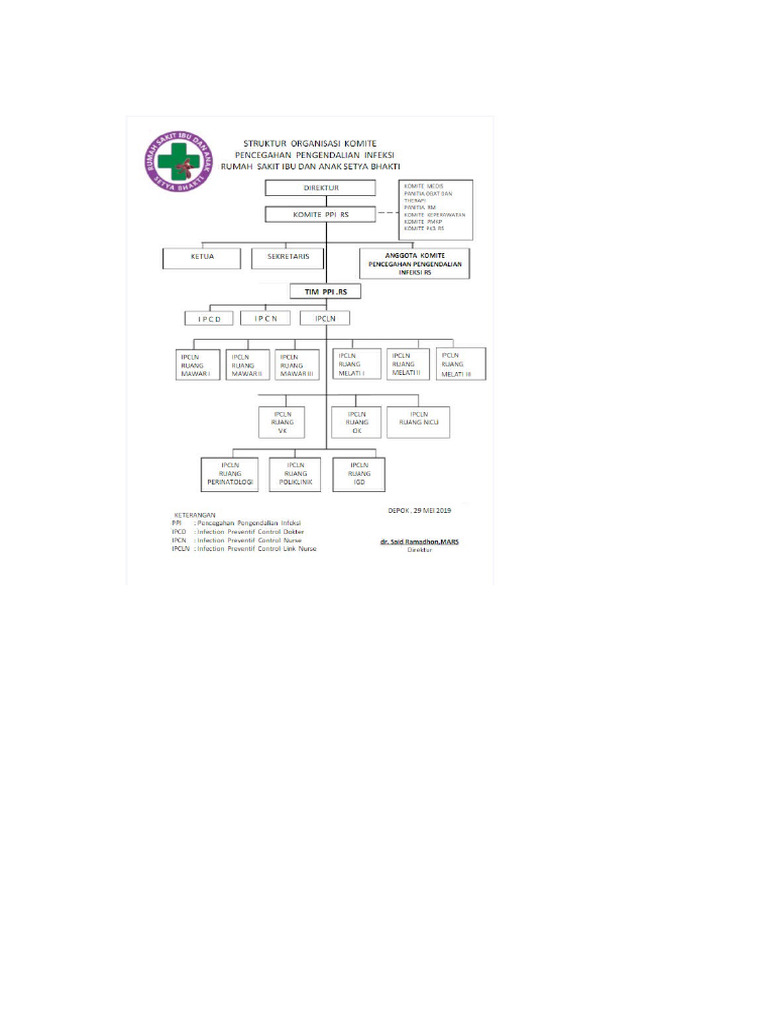 contoh struktur tim PPI RS | PDF
