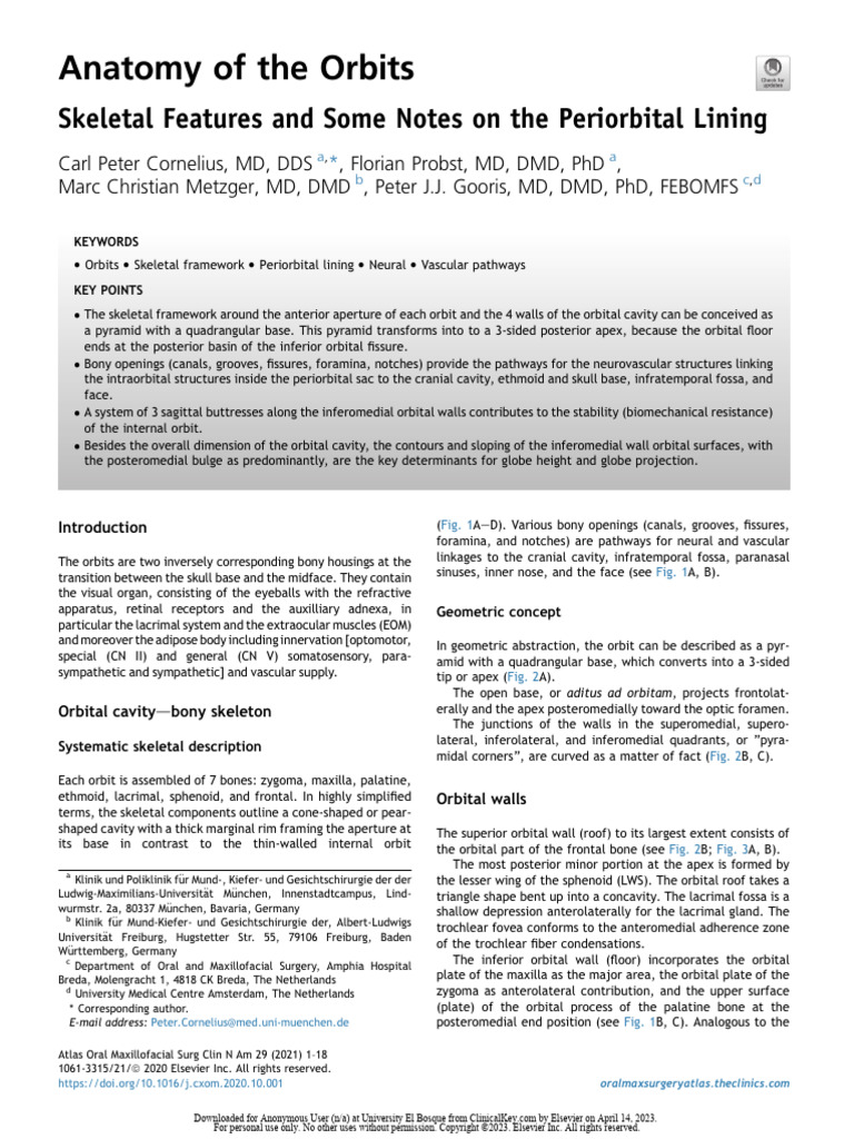 Anatomy of The Orbits | PDF | Musculoskeletal System | Skeletal System