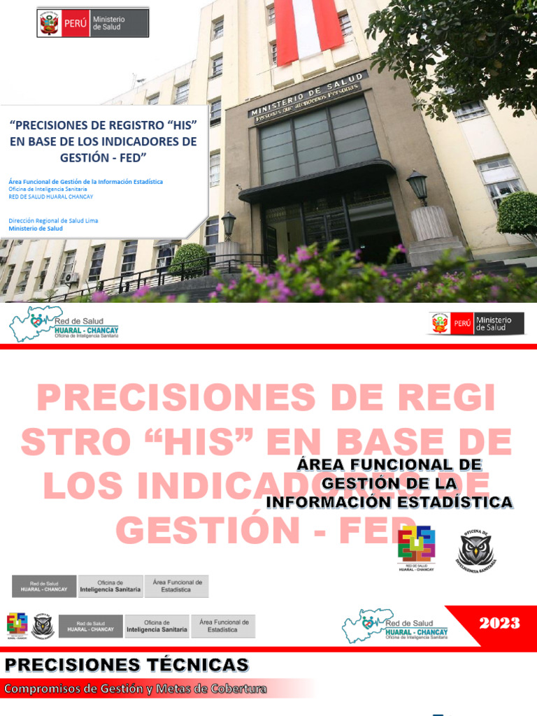 Precisiones de Registro HIS en Base de Los Indicadores de Gestion FED | PDF | El embarazo ...