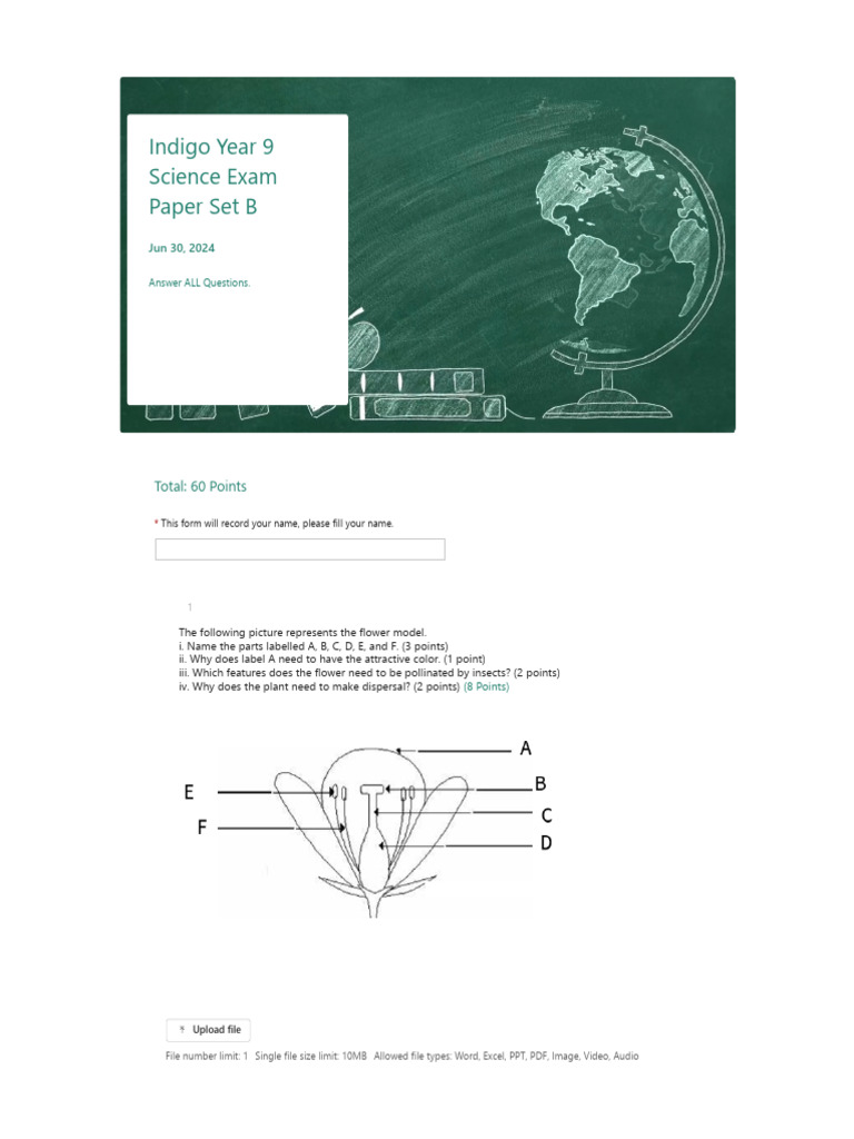 Sample CER Exam Paper B | Download Free PDF | Microsoft Power Point ...