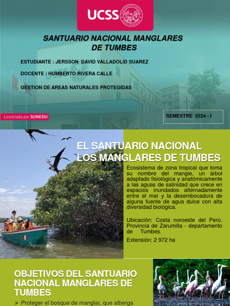 Plan Maestro Los Manglares de Tumbes | PDF | Mangle | Ecología de sistemas