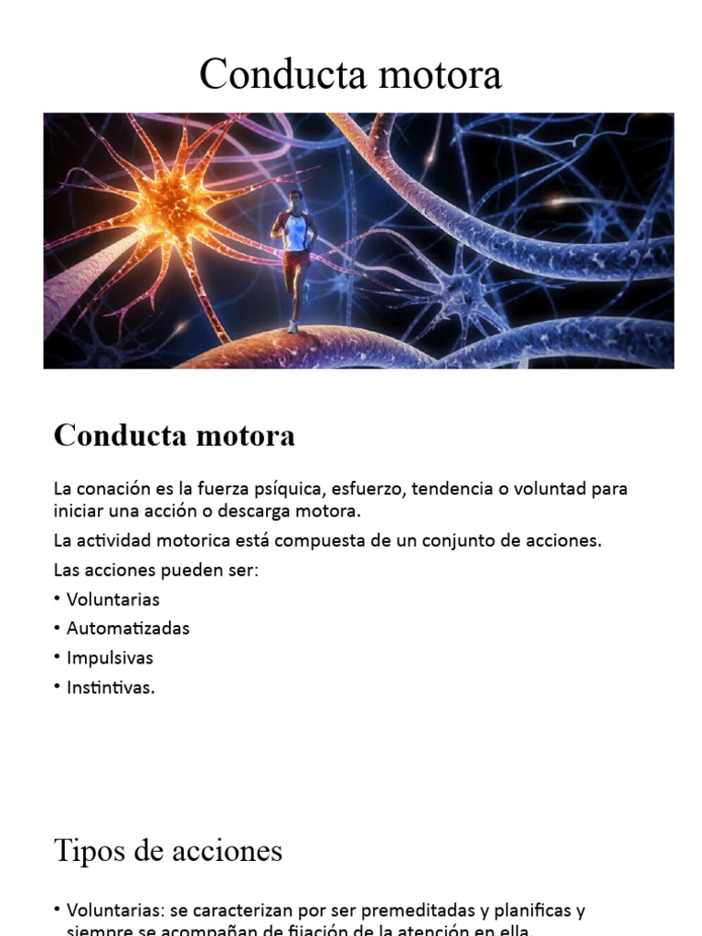 Conducta Motora | PDF | Distonia | Enfermedades y trastornos