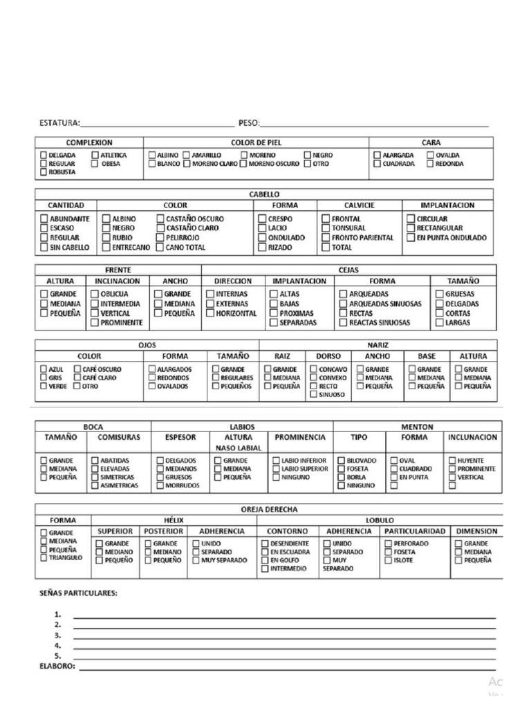 Formato Media Filacion Word | PDF