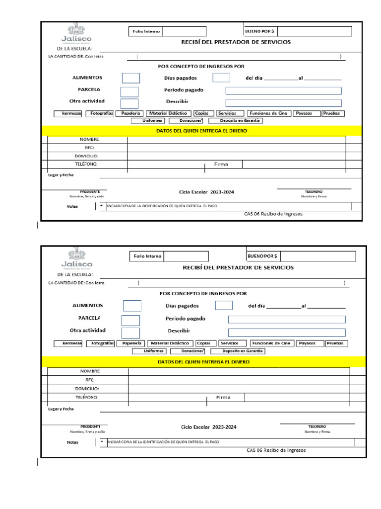 CAS 06 Formato de Ingresos | PDF