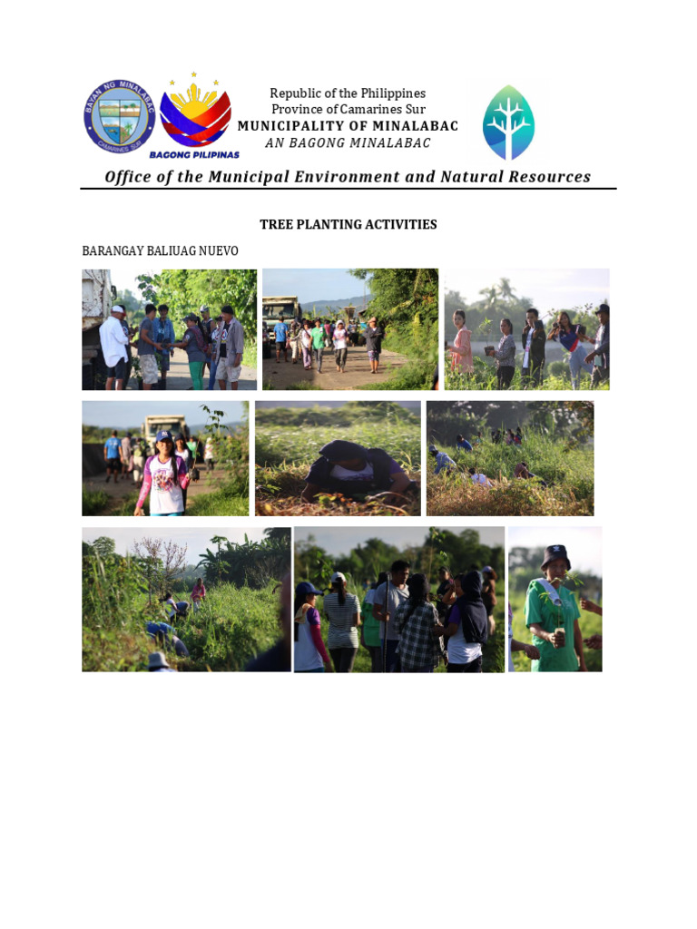 MINALABAC - Tree Planting Activities | PDF