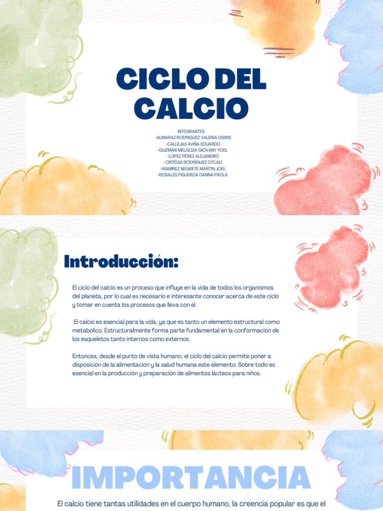 CICLO DEL CARBONO | PDF | Calcio | Ciencias de la Tierra