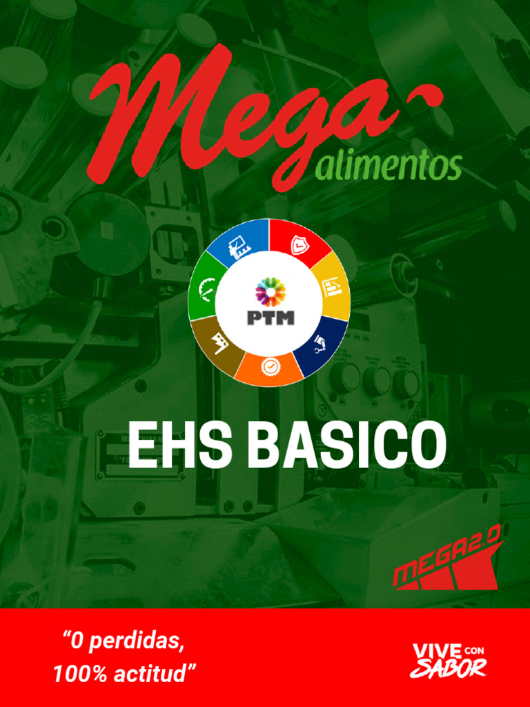 EHS Basico Manual (1) | PDF