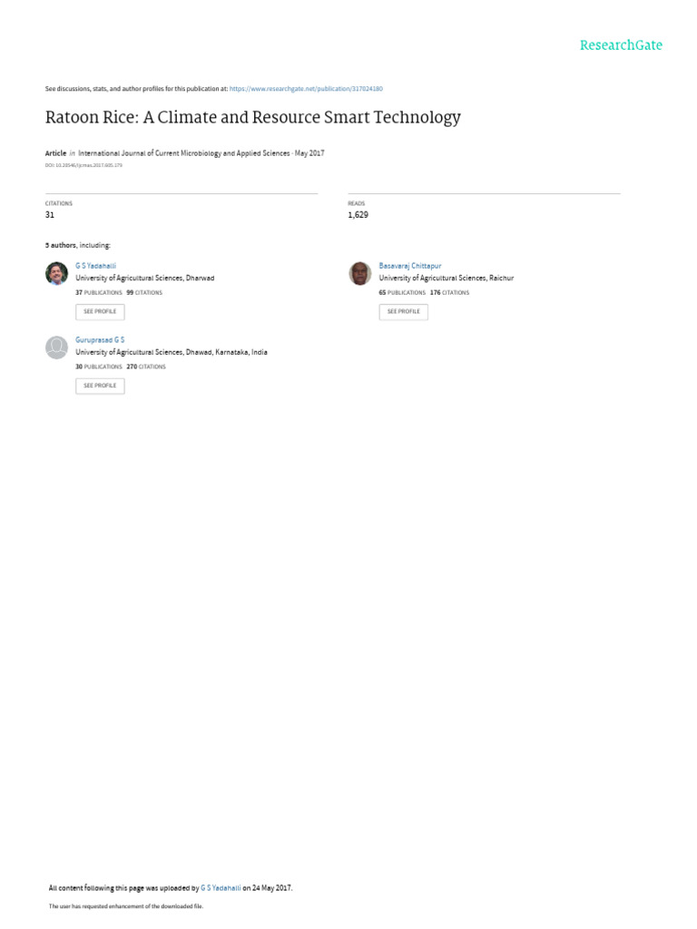 Ratoon Rice A Climate and Resource Smart Technology - 2017 | PDF | Rice ...