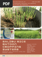 The Rozvi State | PDF