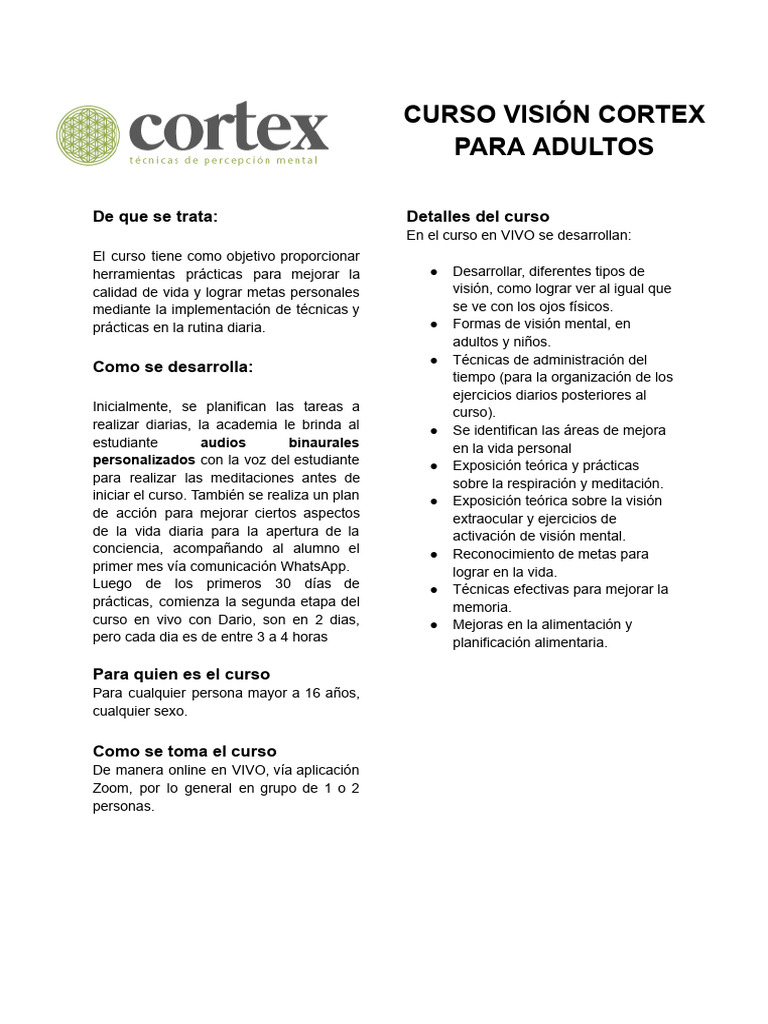 Curso de Visión Cortex para Adultos | PDF