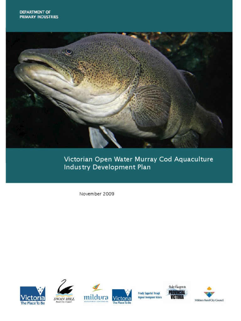 Murray Cod Industry Development Plan | PDF | Aquaculture | Water Resources