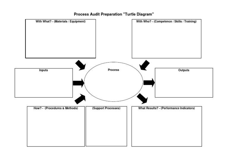 S6_5.2 Blank Turtle V1 | PDF