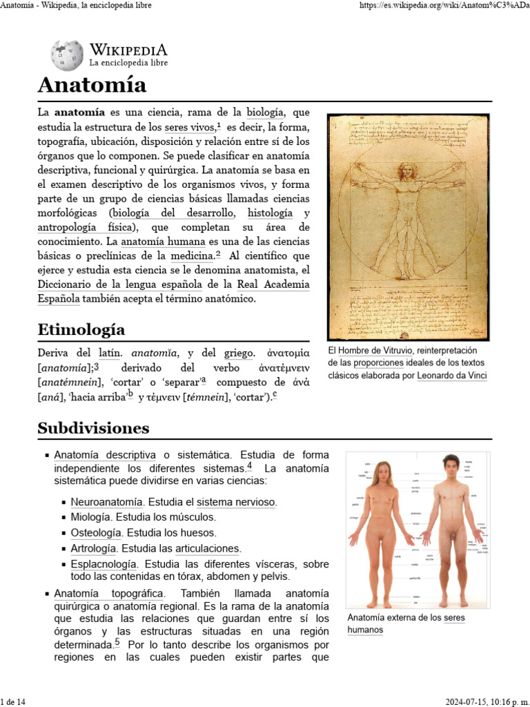Anatomía | PDF | Anatomía | Riñón