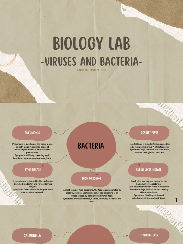 Biology Lab (Viruses and Bacteria) - 1 | PDF | Infection | Pneumonia
