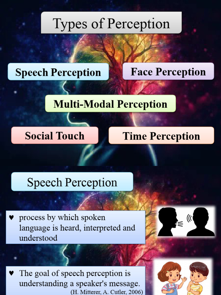 Types of Perception Final | PDF