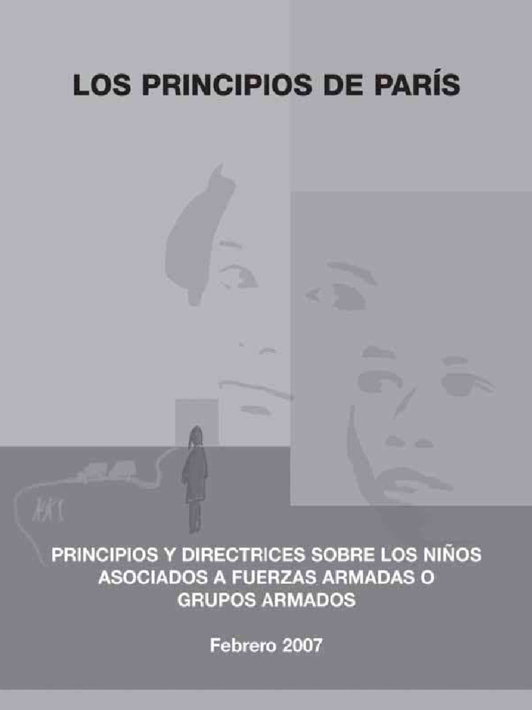 Documento 17 - Principios de París | PDF