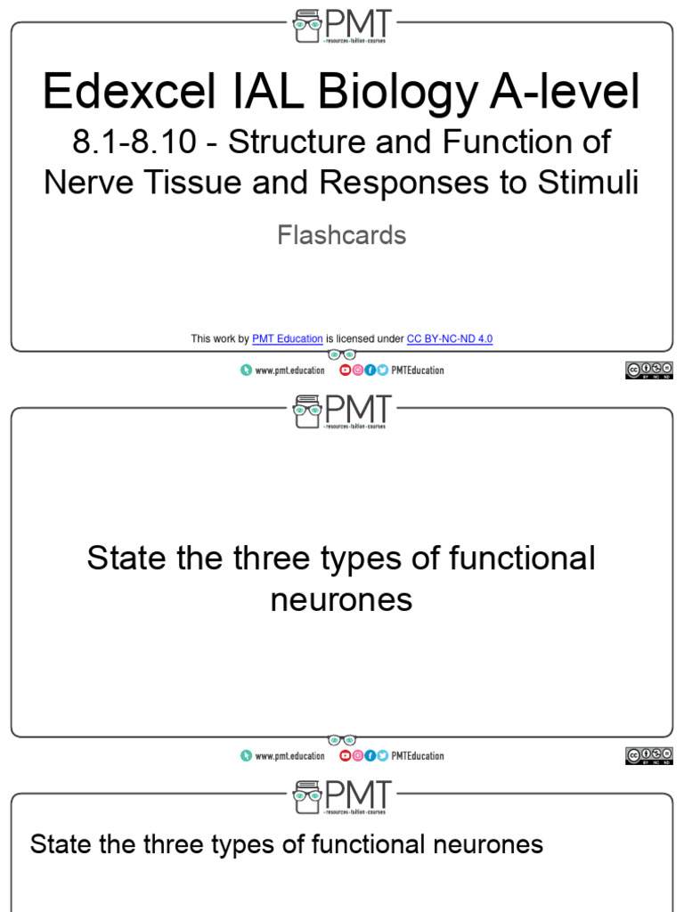 Flashcards - Topic 8.1-8.10 Structure and Function of Nerve Tissue and ...