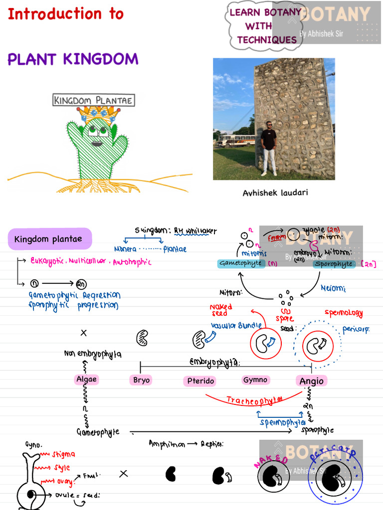 Introduction To Plant Kingdom | PDF | Branches Of Botany | Biology