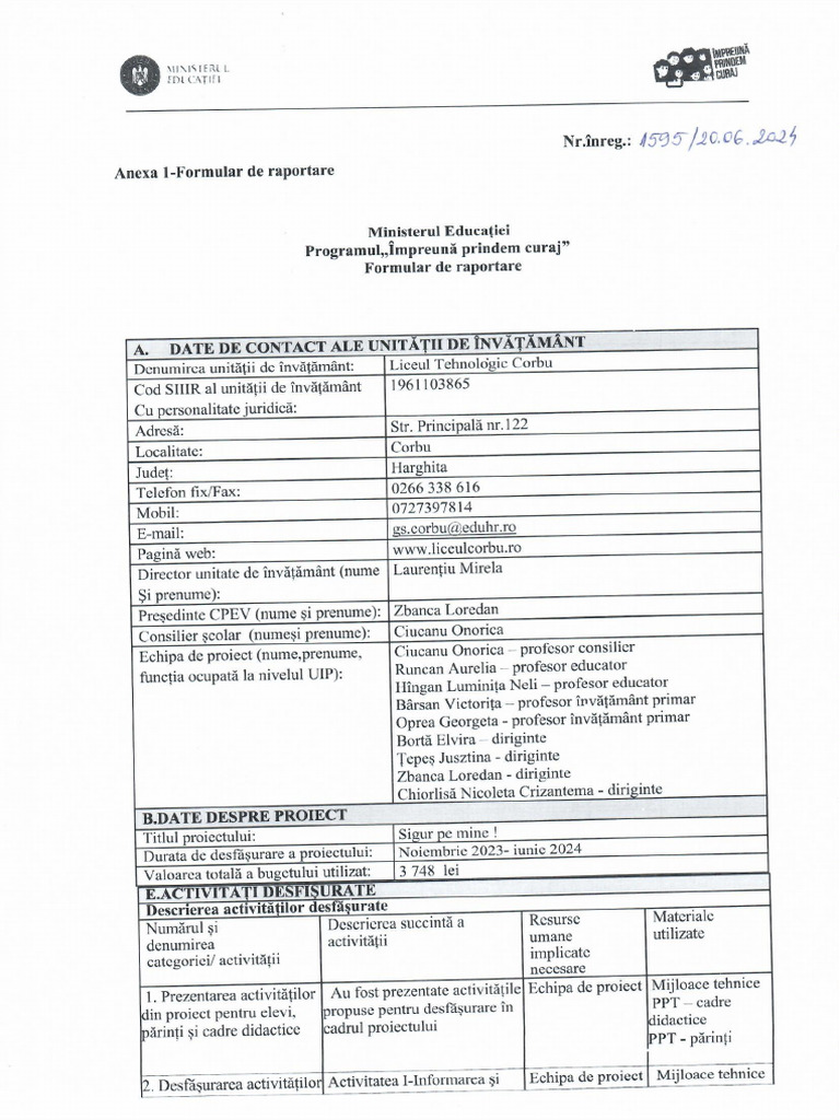 Formular de Raportare Programul Împreună Prindem Curaj" | PDF