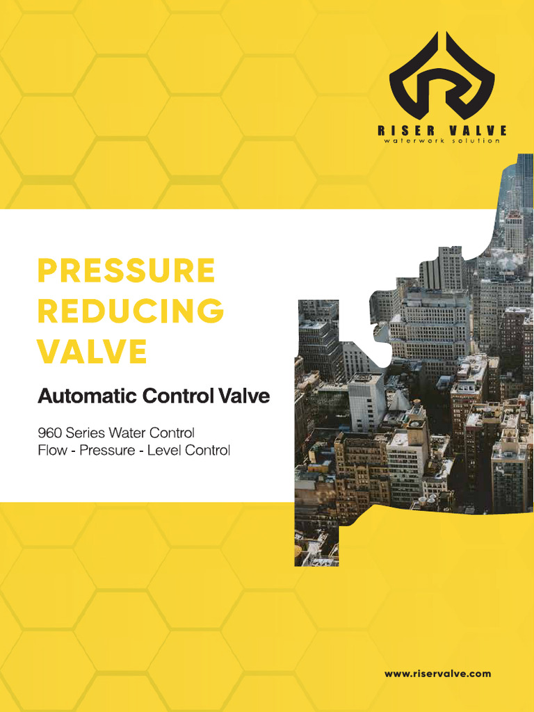 Riser PRV - Press | PDF | Valve | Liquids