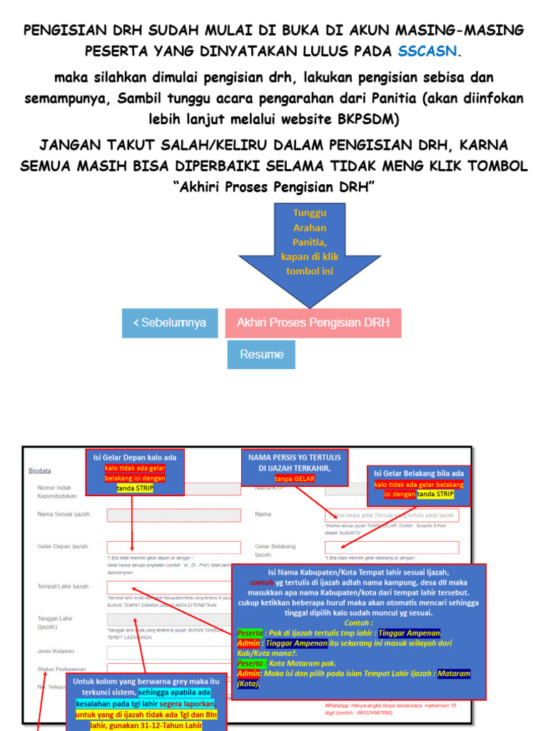 Tata Cara Pengisian DRH point Penting | PDF