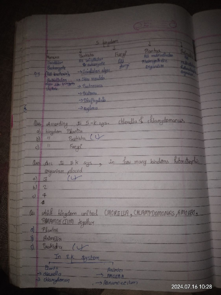 Classification Of Kingdoms Notes Pdf 2 20240716 10 29 32 Pdf