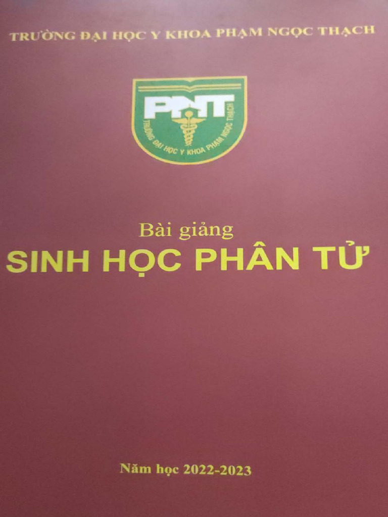 SHPT - PNT 2020 | PDF