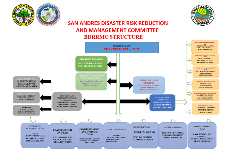BDRRMC Structure | PDF | Risk Management | Risk